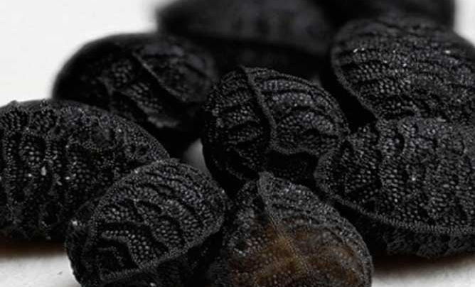 Egyesek ezt a növényt úgy jellemzik, mint „minden betegség gyógyszerét ...